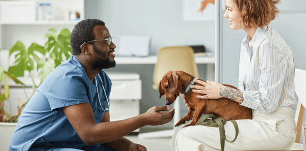 Veterinarians - Kalzyme