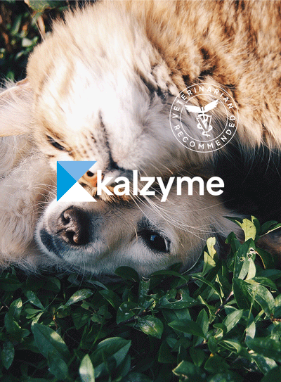 Kalzyme | A Breakthrough Innovation in Animal Health